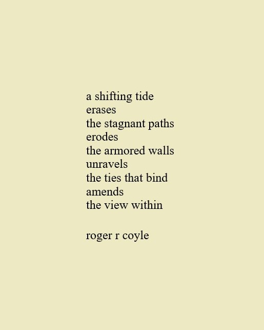 amended view – Roger R Coyle – Author