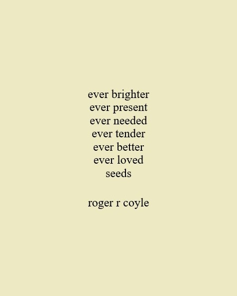 seeds – Roger R Coyle – Author