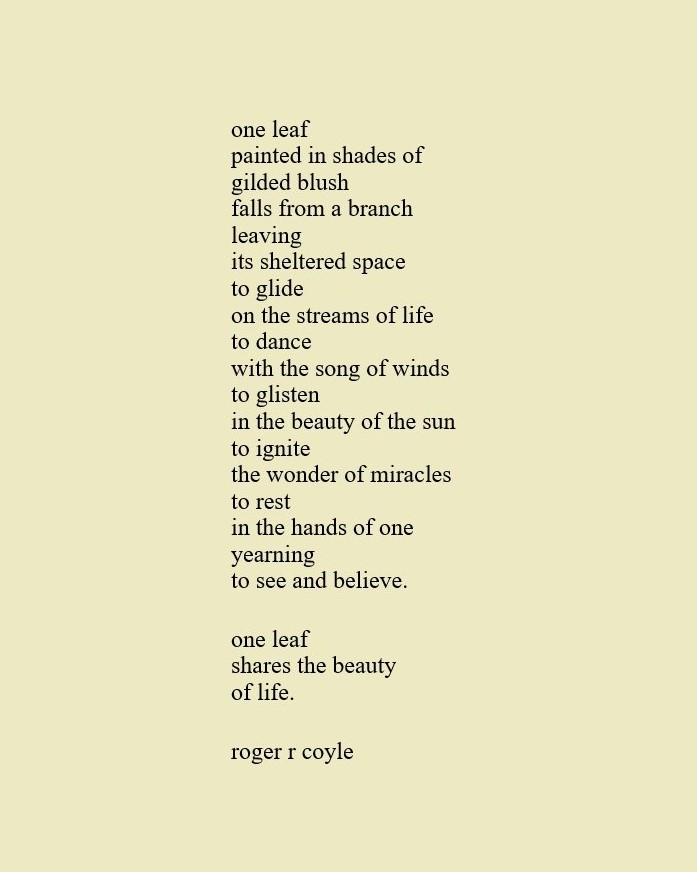one leaf – Roger R Coyle – Author