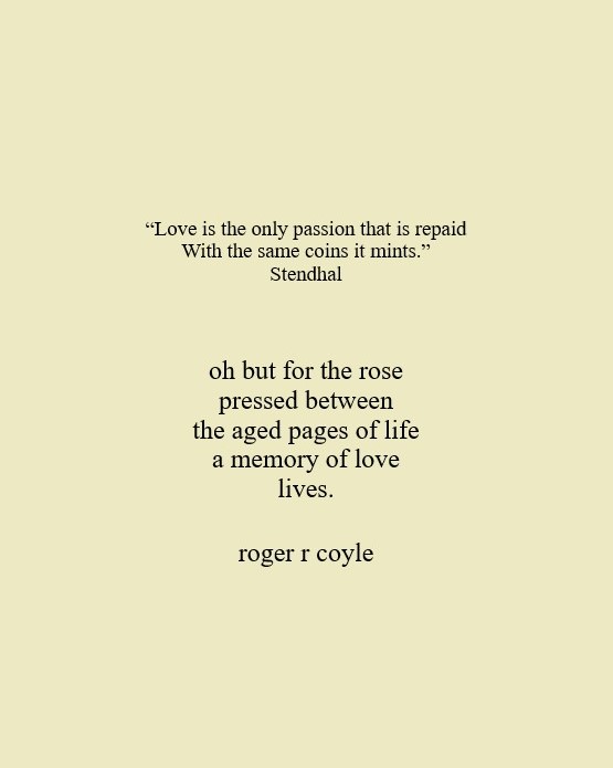 one rose – Roger R Coyle – Author
