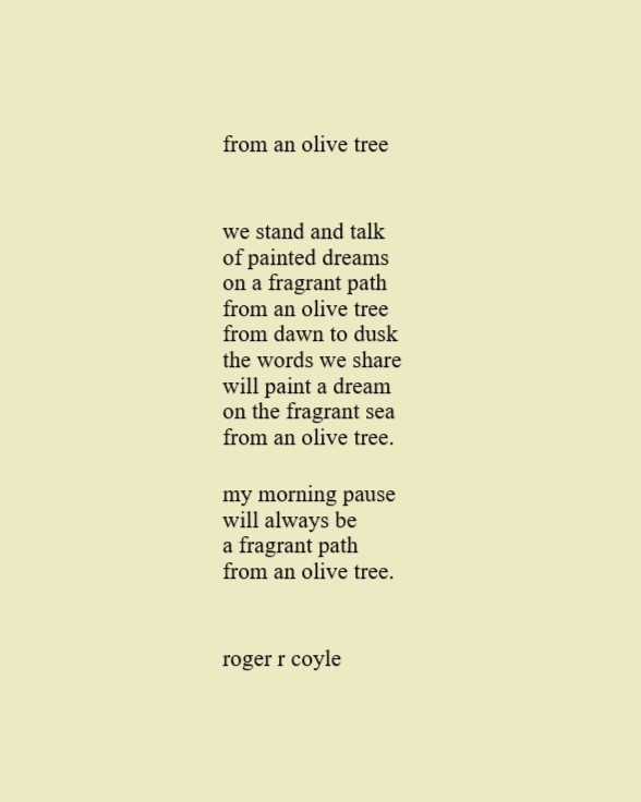from an olive tree – Roger R Coyle – Author