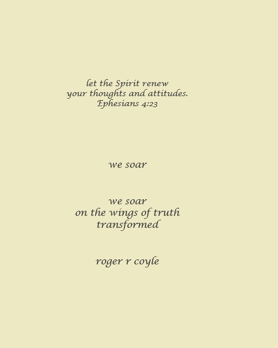 we soar – Roger R Coyle – Author