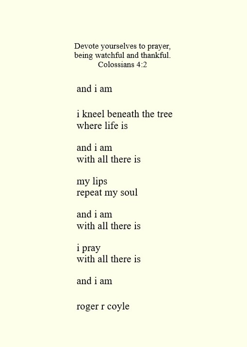 and i am – Roger R Coyle – Author