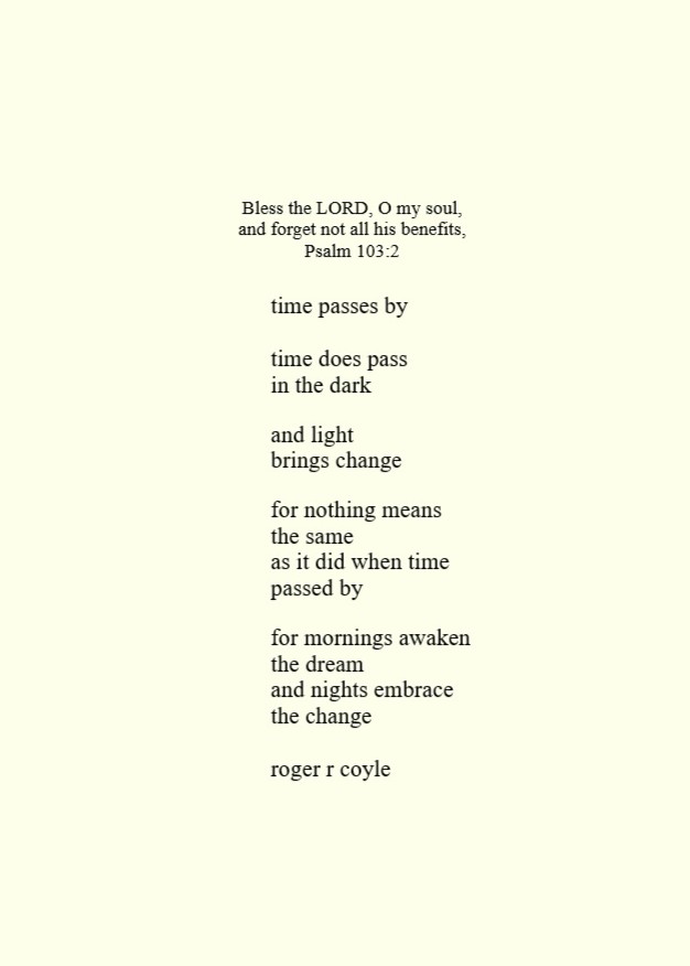 time passes by – Roger R Coyle – Author
