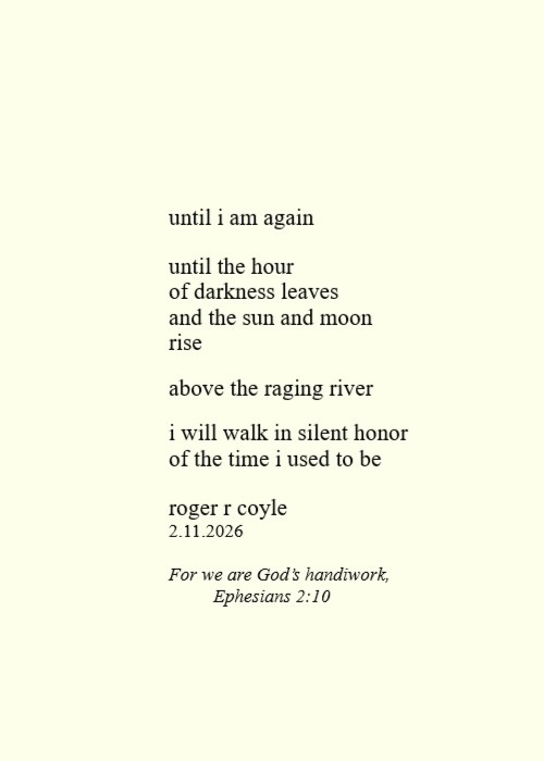 until i am again – Roger R Coyle – Author